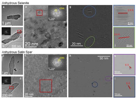 Nanobelt Mesocrystal Structure A D Low Resolution Transmission Download Scientific Diagram