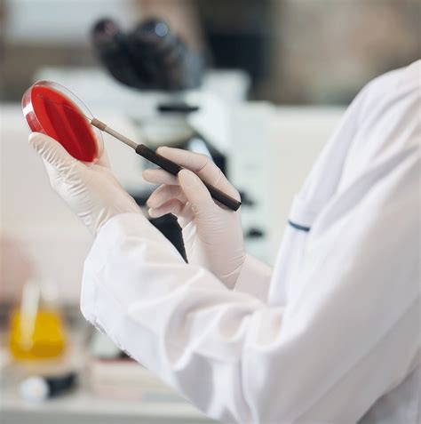 Group B Strep Screening Test Pregnancy To Parenting Australia