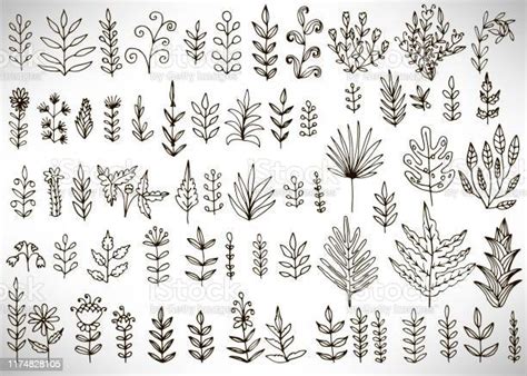 검은 윤곽 손 그린 요소 나무 가지 덤불 식물 열대 잎 꽃 가지 흰색에 고립 된 꽃잎의 꽃 세트 디자인 컬렉션입니다 벡터 그림입니다 0명에 대한 스톡 벡터 아트 및 기타