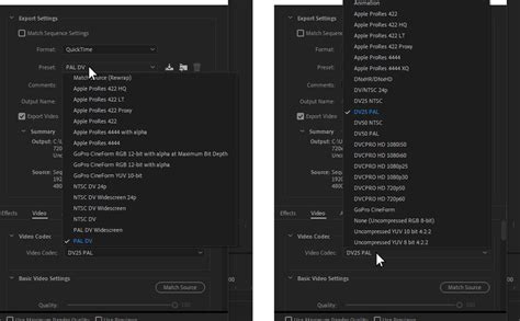 Quicktime Png Codec 10 Free Cliparts Download Images On Clipground 2025 Quicktime Png Codec 10 Free Cliparts Download Images On Clipground 2025
