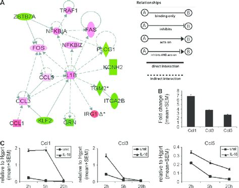 Ingenuity Pathway Analysis Of The Differentially Regulated Genes By