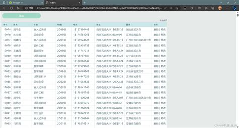 Web前端查询页面 Csdn博客