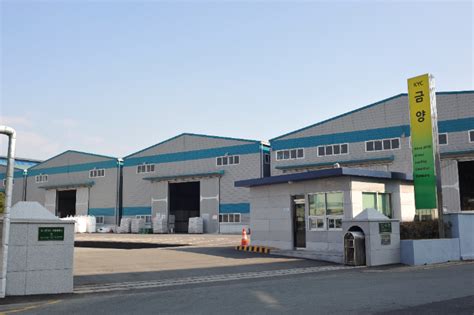 금양 자사주 200만주 처분이차전지 공장 투자 딜사이트