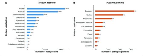 Subcellular Localization Of The A Host Proteins And B Pathogen Download Scientific