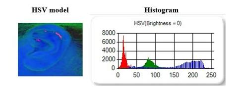 Color Conversion Skin Segmentation Stage The Skin Segmentation Of Hsv