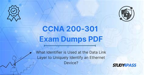 What Identifier Is Used At The Data Link Layer To Uniquely Identify An