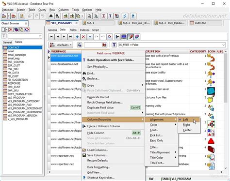 下載 Database Tour Pro 64bit 1148710 為了 Windows