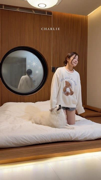 옷도 포근 이불도 포근 우리 강아지도 포근☁️ Youtube