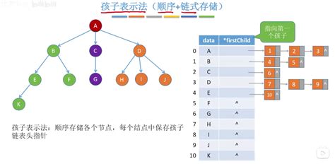 树的存储结构 Csdn博客 树的存储结构 Csdn博客