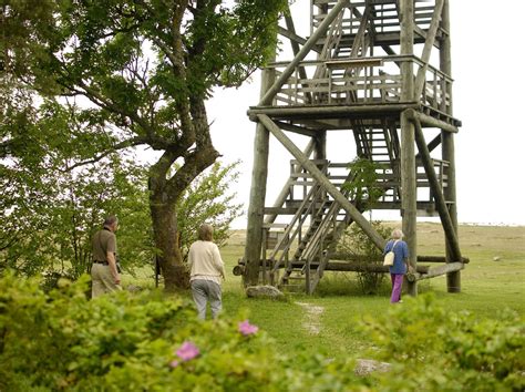 2025年3月haeska旅游景点攻略 Haeska旅游住宿 Haeska旅游美食 猫途鹰