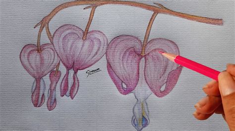 Drawings Of Bleeding Hearts
