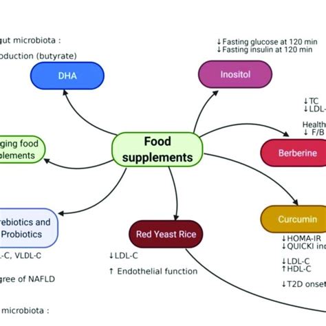 Food Supplements And Their Effects On Glucidic And Lipidic Metabolism