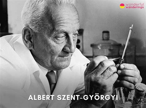 30 Most Famous Hungarians Artists Chefs And Scientists