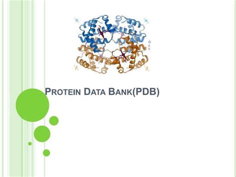 Swiss Pdb Viewer Pptx Chemistry Science