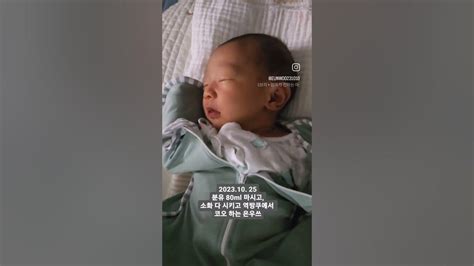 신생아 아기콧대 태아 아기 신생아잠 출산 육아 속싸게 이쁜아기 사랑해 Youtube