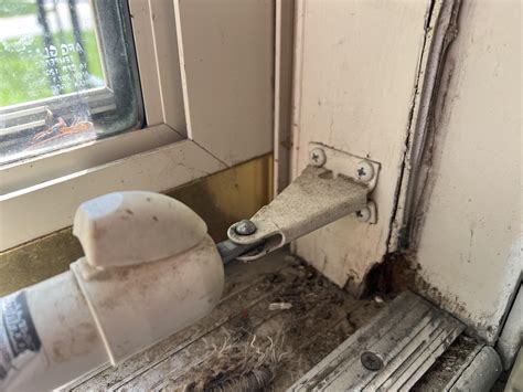 Storm Door Alignment Rhowto