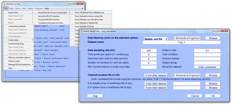 Eeglab Tutorial Irene Vigué Guix