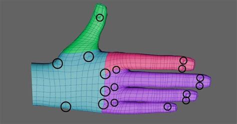 Hand Topology Mastering Hand Modeling