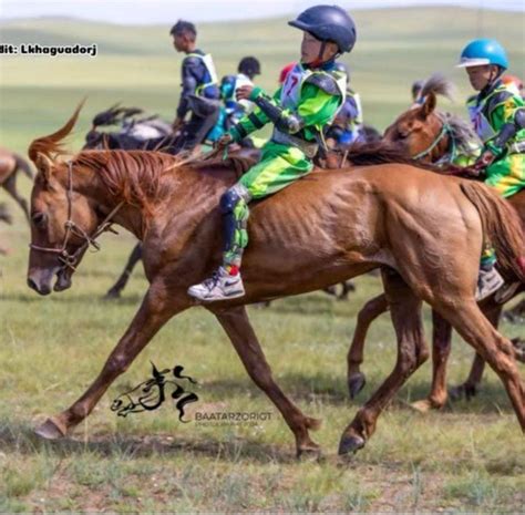 Дорнод аймгийн Цагаан Овоо сумын уугуул МУАУ Бүтийн Бат Сайхны хүү