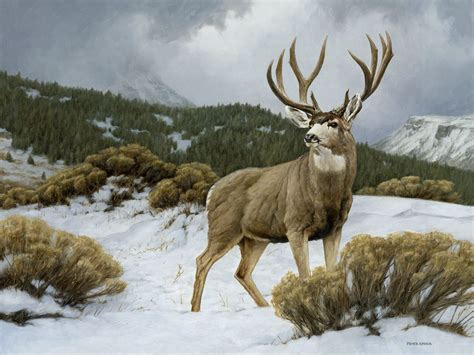 Explore The Majestic Artwork Of Rmef Denver Mile High Chapter