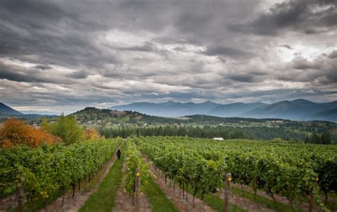 Uncork Joy One Sip At A Time Creston Valley Wineries Kootenay Rockies