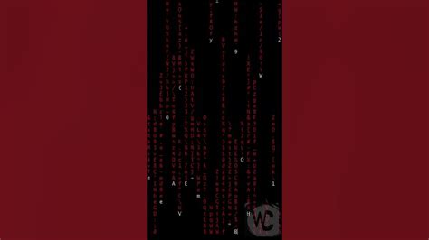 Linux Cmatrix Coding Linux Linuxtutorials Linuxcommandlinetutorial Ubuntu Sysadmin Youtube