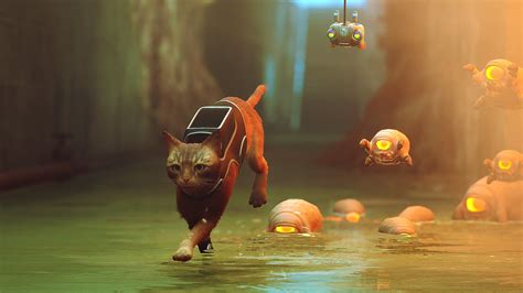 Stray 10 Totally Normal ‘cat Things You Can Do Ign