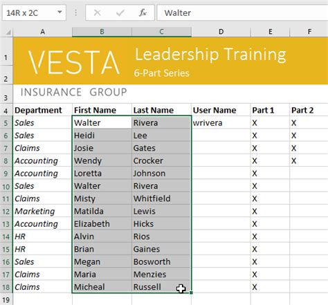 Excel 2016 Cell Basics