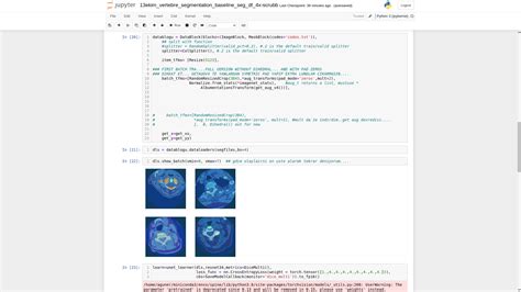 multi class segmentation classes fastai fast ai course forums