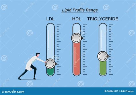 Lipid Profile Medical Test Results Vector Illustration 304937838