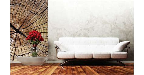 Fa Törzs Poszter Tapéta 150x250 Cm Pepitahu