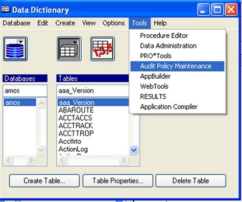 Openedge Database Auditing