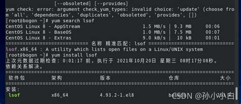 Linux实训使用rpm查询lsof命令是否被安装 Csdn博客 Linux实训使用rpm查询lsof命令是否被安装 Csdn博客