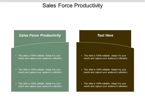 Sales Force Productivity Ppt Powerpoint Presentation Pictures Cpb