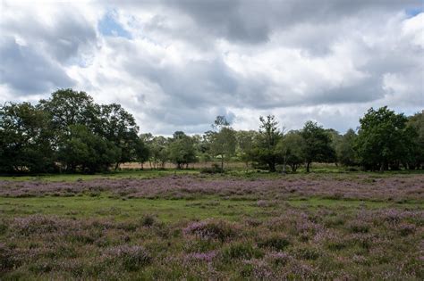 Clouds Over The Heather Ashurst New Forest Derek Morgan Photos