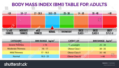 Bmi Index Scale Classification Body Mass Stock Vector Royalty Free 1716059083
