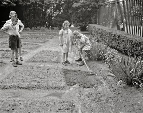 History In Photos Victory Gardens