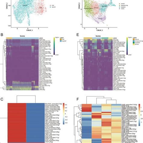 Dimensionality Reduction Cluster Analysis Of Thyroid Associated Cell