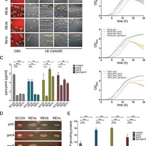 Heatmap Of Relative Mrna Expression Values Of Selected Genes The Left Download Scientific