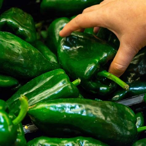 Poblano Peppers Scoville Cooking And Growing 3 Easy Ways To Roast