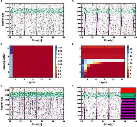 Activity Propagation Along A Feedforward Network For The Shared Inputs