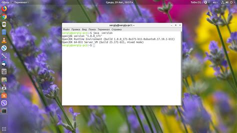 Как запустить Jar в Linux Kovalets