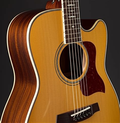 10 Affordable Guitar Brands You Need To Know 🎸 Guitar Brands