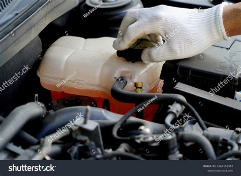 Car Coolant Level Radiator System Carmechanic Stock Photo 2269159443 Shutterstock