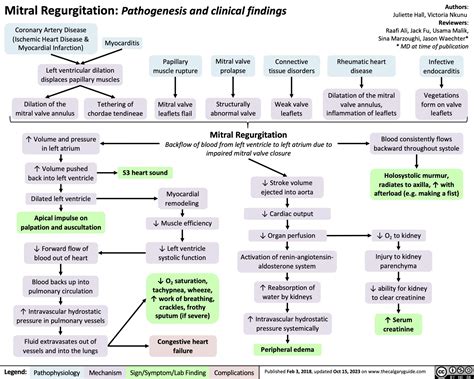 Mitral Regurgitation Pathogenesis And Clinical Findings Calgary Guide