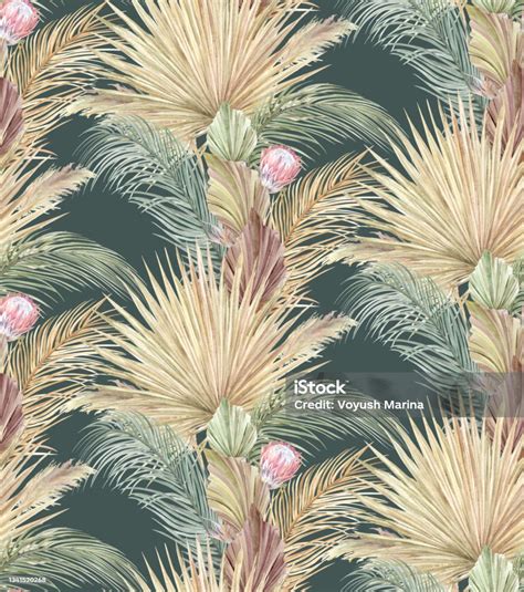 짙은 녹색 배경에 마른 야자수 잎과 팜파 잔디의 수직 열대 허브리움원활한 수채화 패턴 건조한에 대한 스톡 벡터 아트 및 기타 이미지 건조한 결혼식 꽃 나무 Istock