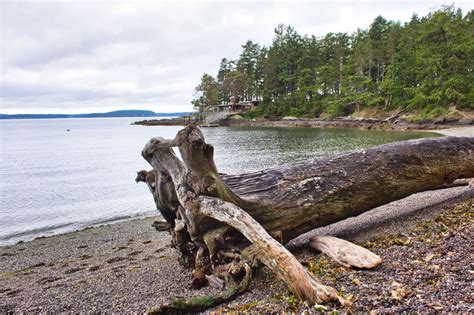 The Ultimate Guide To Camping In The San Juan Islands Passions And Places