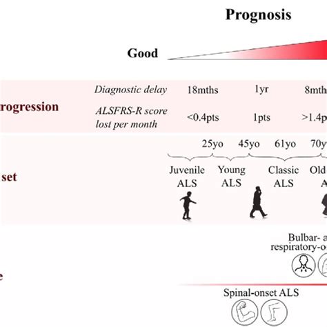 Als Age Of Onset Variability And Their Clinical Features Summary Of Download Scientific