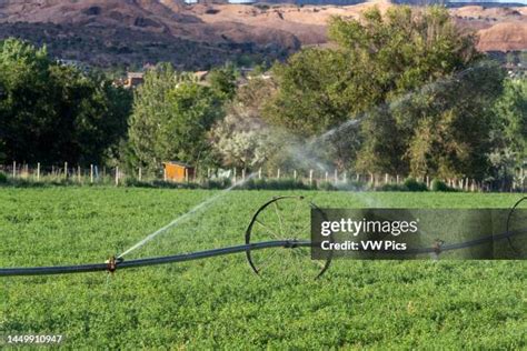 Four Wheeler Farm Photos And Premium High Res Pictures Getty Images