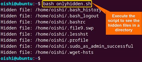 How To Loop Through Files In Bash Directory With Examples Linuxsimply